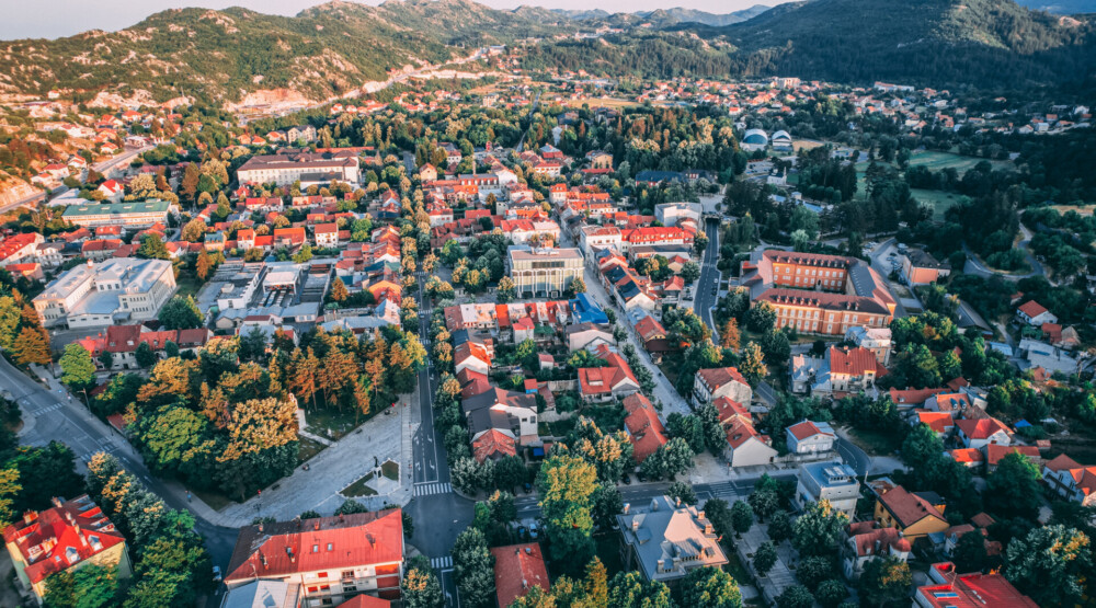 Mladić osumnjičen da je silovao psa na Cetinju? - Volim Podgoricu