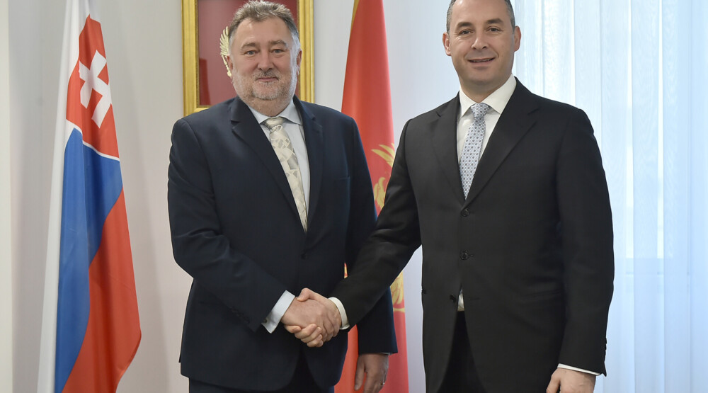 Šćekić sa Gandelom: Izbor VDT-a od izuzetne važnosti, zaustaviti odliv ...