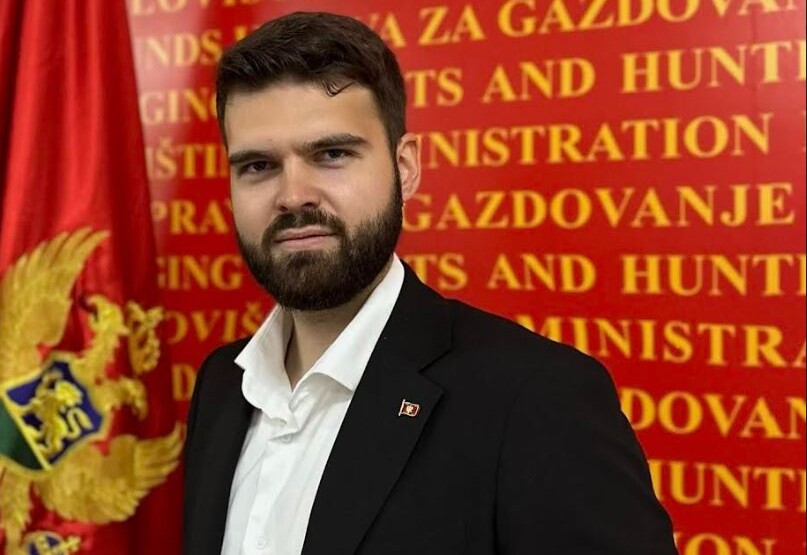 RAJKOVIĆ: Sanitarna sječa ili požari i bolesti, uz milionsku štetu za ...