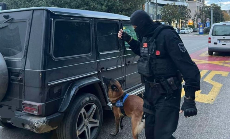 Pretresi širom Crne Gore: Procesuirano devet osoba, oduzeto oružje ...